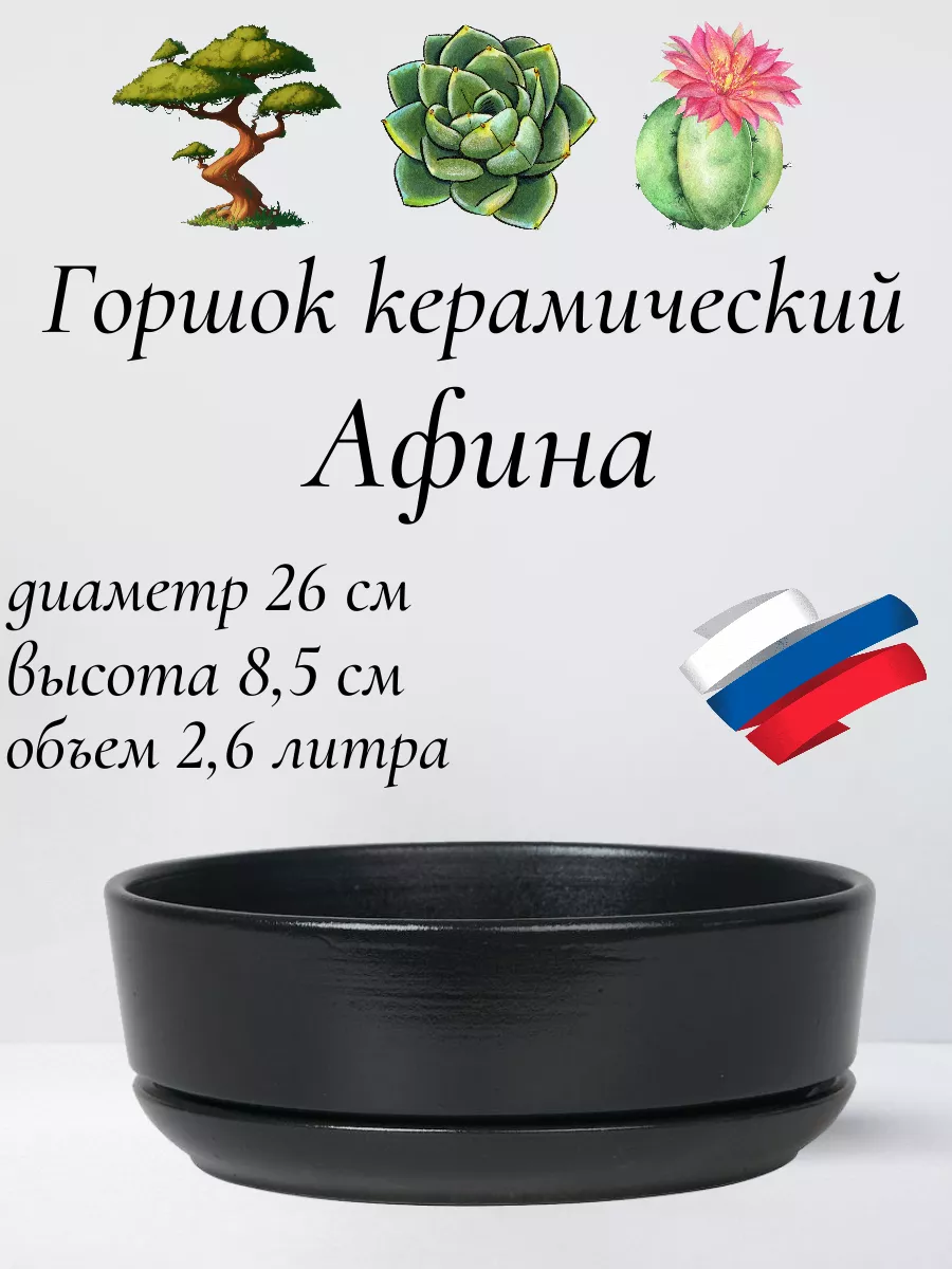 Похожие